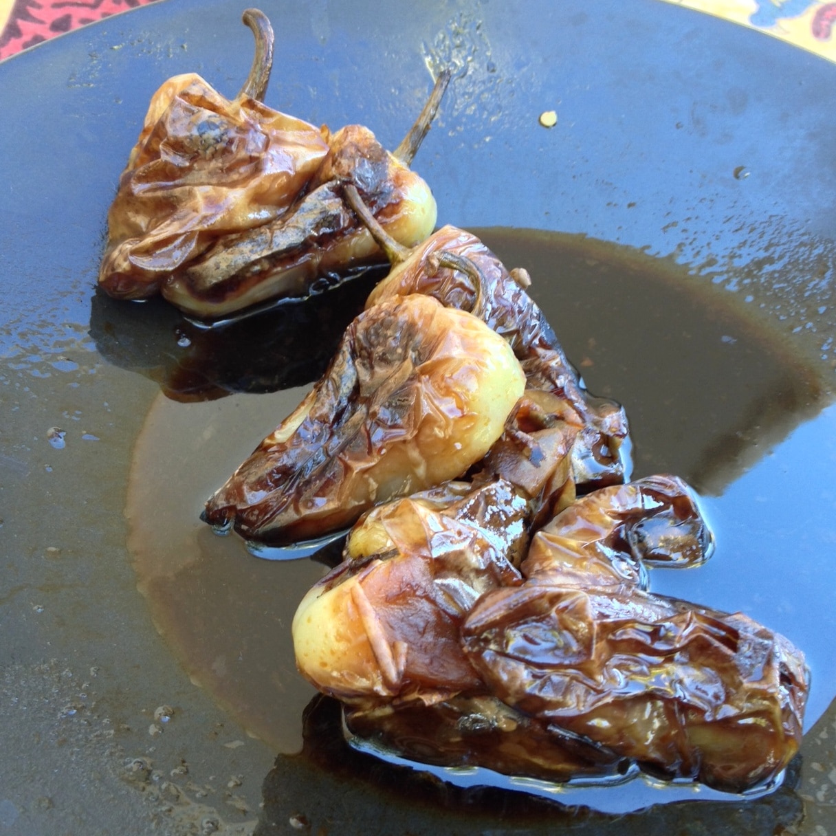 Volunteering Abroad in Mexico via Workaway